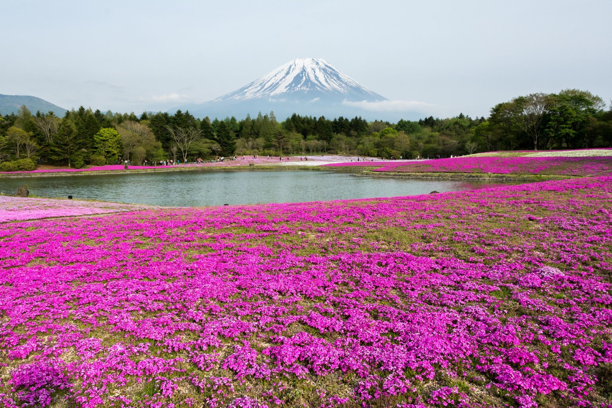 25 Nature Preserves That Should Be On Everyone’s Bucket List