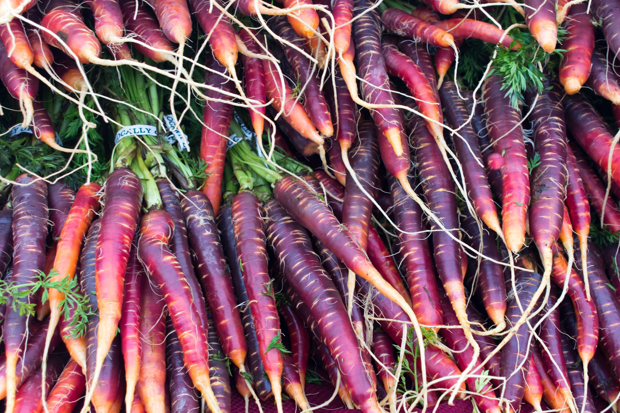 23 Rare And Bizarre Things That Actually Exist On Our Earth