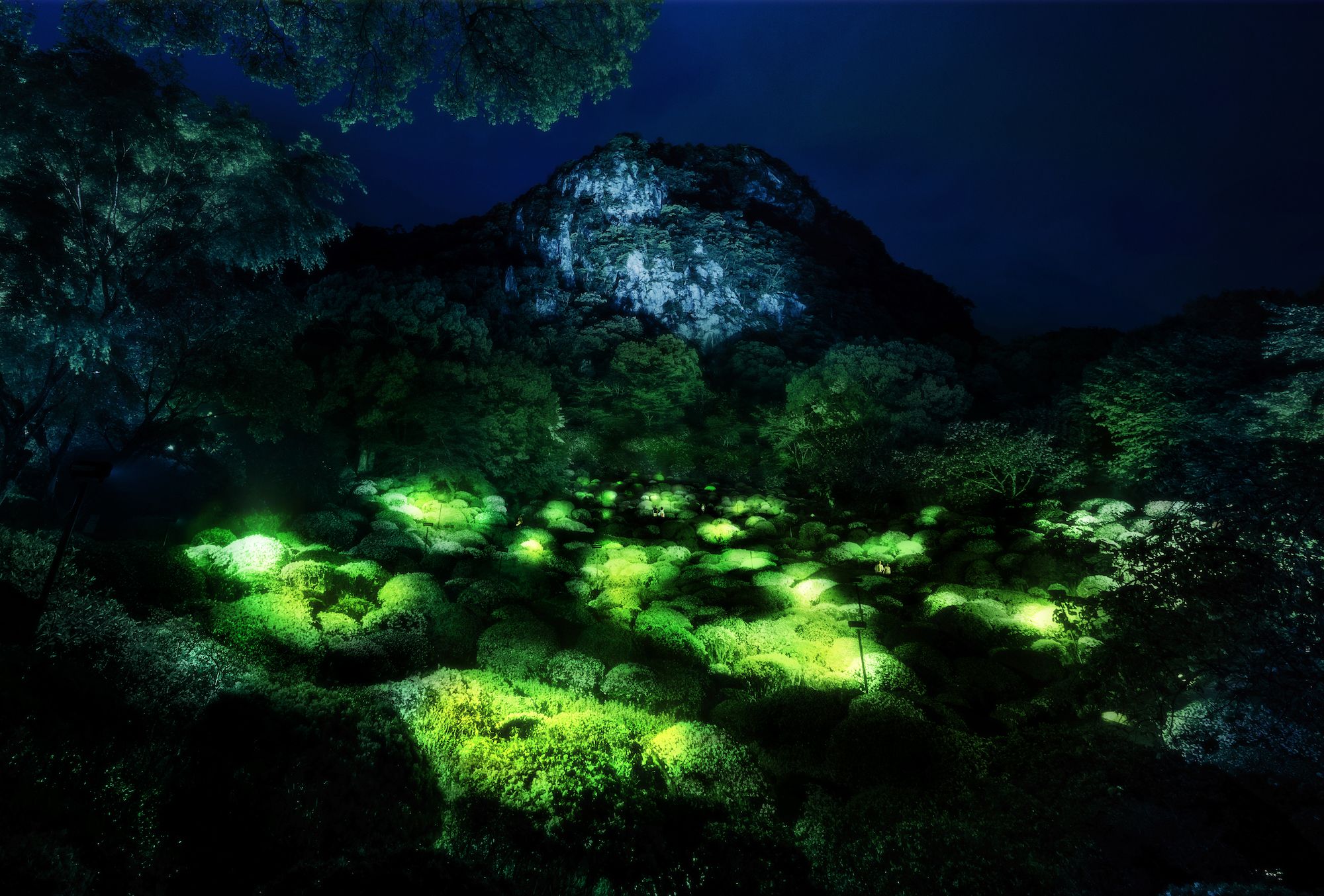 23 Rare And Bizarre Things That Actually Exist On Our Earth