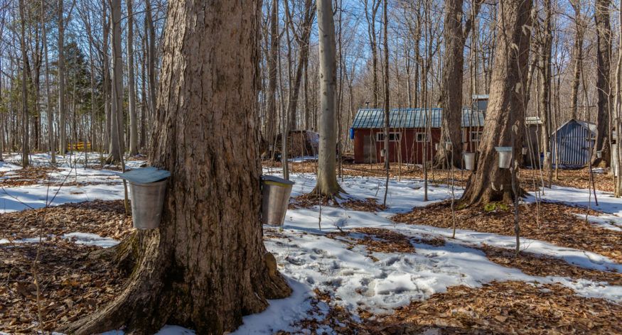 20 Seriously Weird Things That Only Happen In Canada