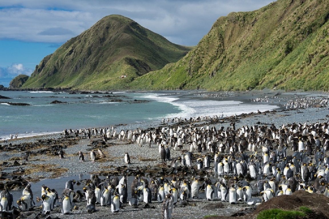 13 Islands Where Humans Are Forbidden (12 We’re Too Afraid To Visit Anyway)