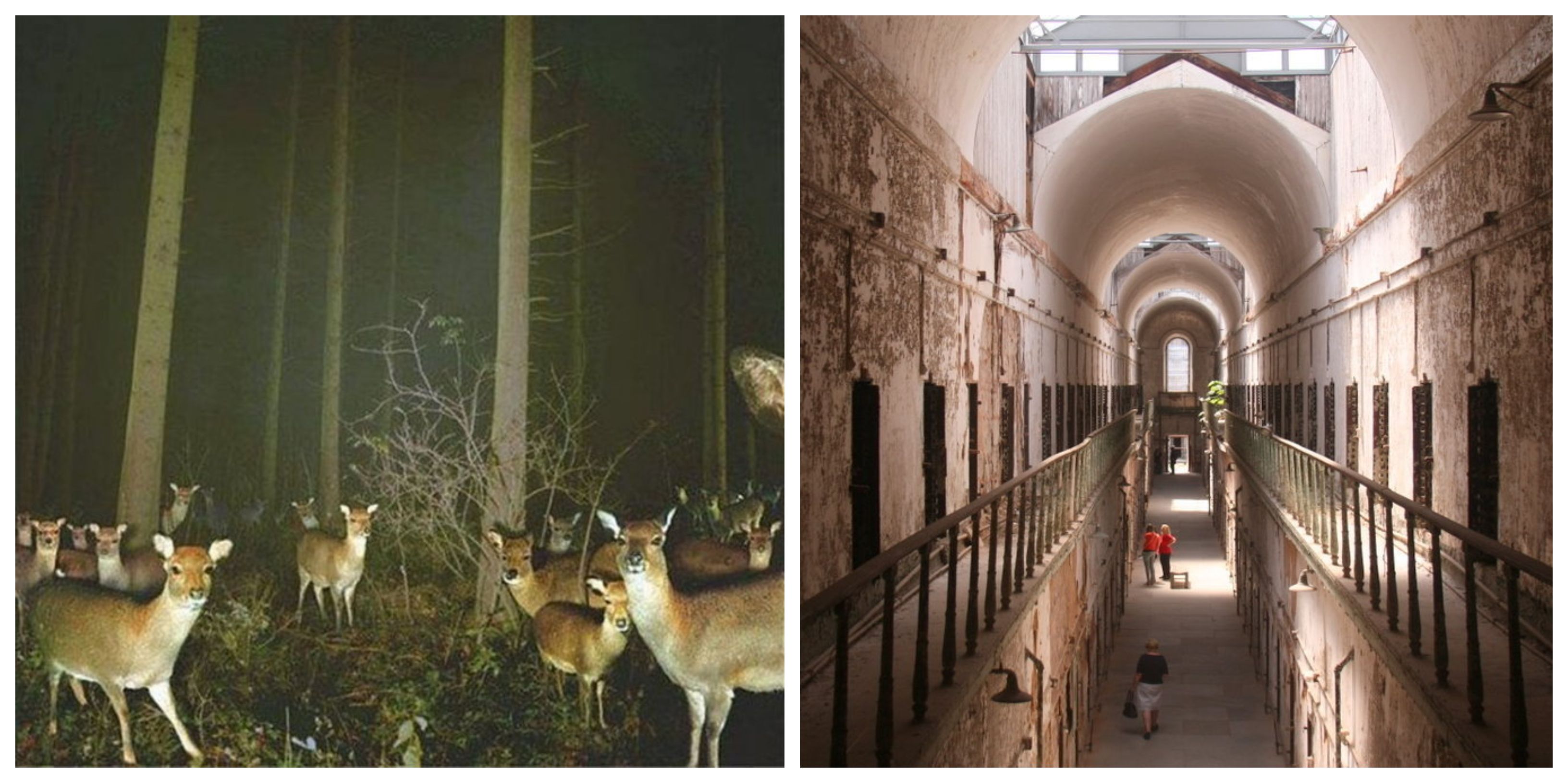 14 Mysterious Places In The U.S. Not For The Faint Of Heart (9 Places ...