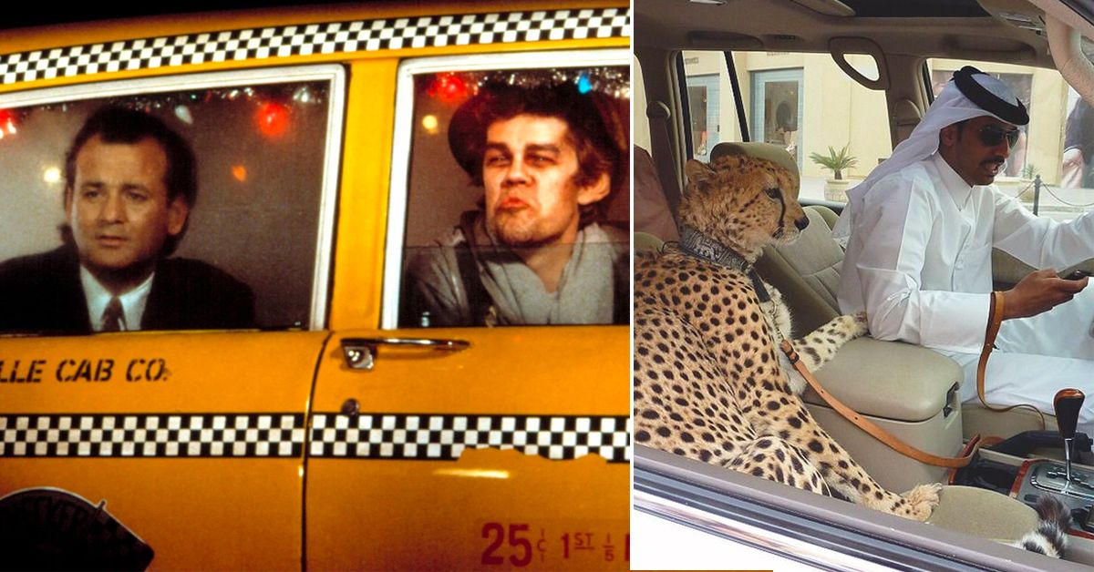 24 Things Taxi Drivers Do To Take Advantage Of Their Passengers