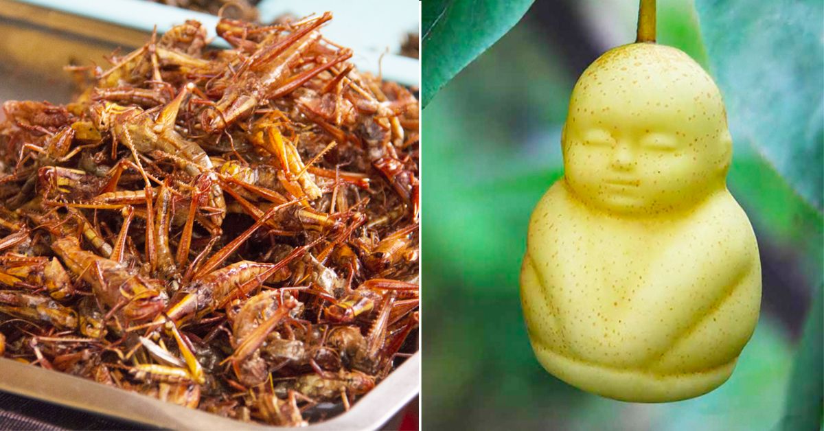 25 Things People Can Actually Get In Asia (If They Look Hard Enough)