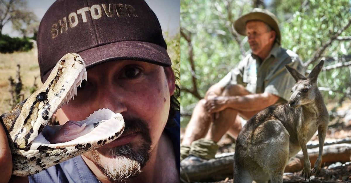 20 Strange Things That Have Been Captured So Far In Monster Encounters