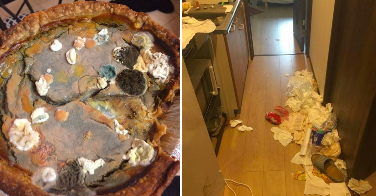 AirBnB の宿泊客が残した最悪の物 15 枚の写真 (9 枚は盗まれたもの)