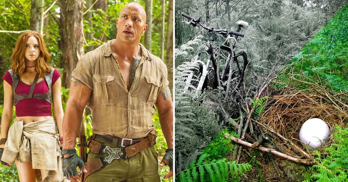 25 Strange Things Found In The Jungle (That Definitely Don’t Belong There)