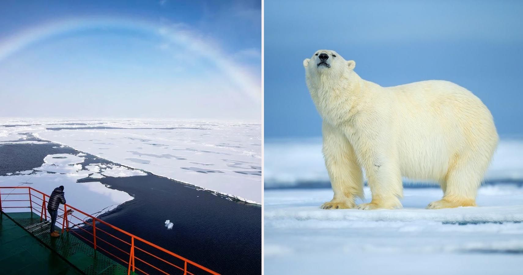 10 Facts You Didn’t Know About The Real North Pole