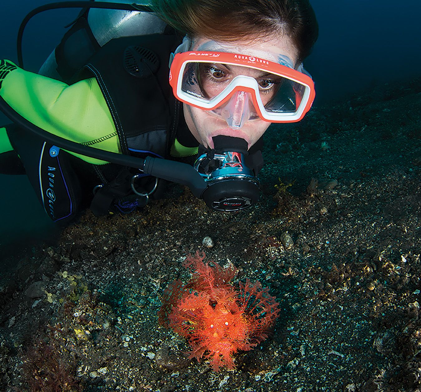 (No Matter Your Cert) Here Are The Best Beaches In Bali For Scuba Diving