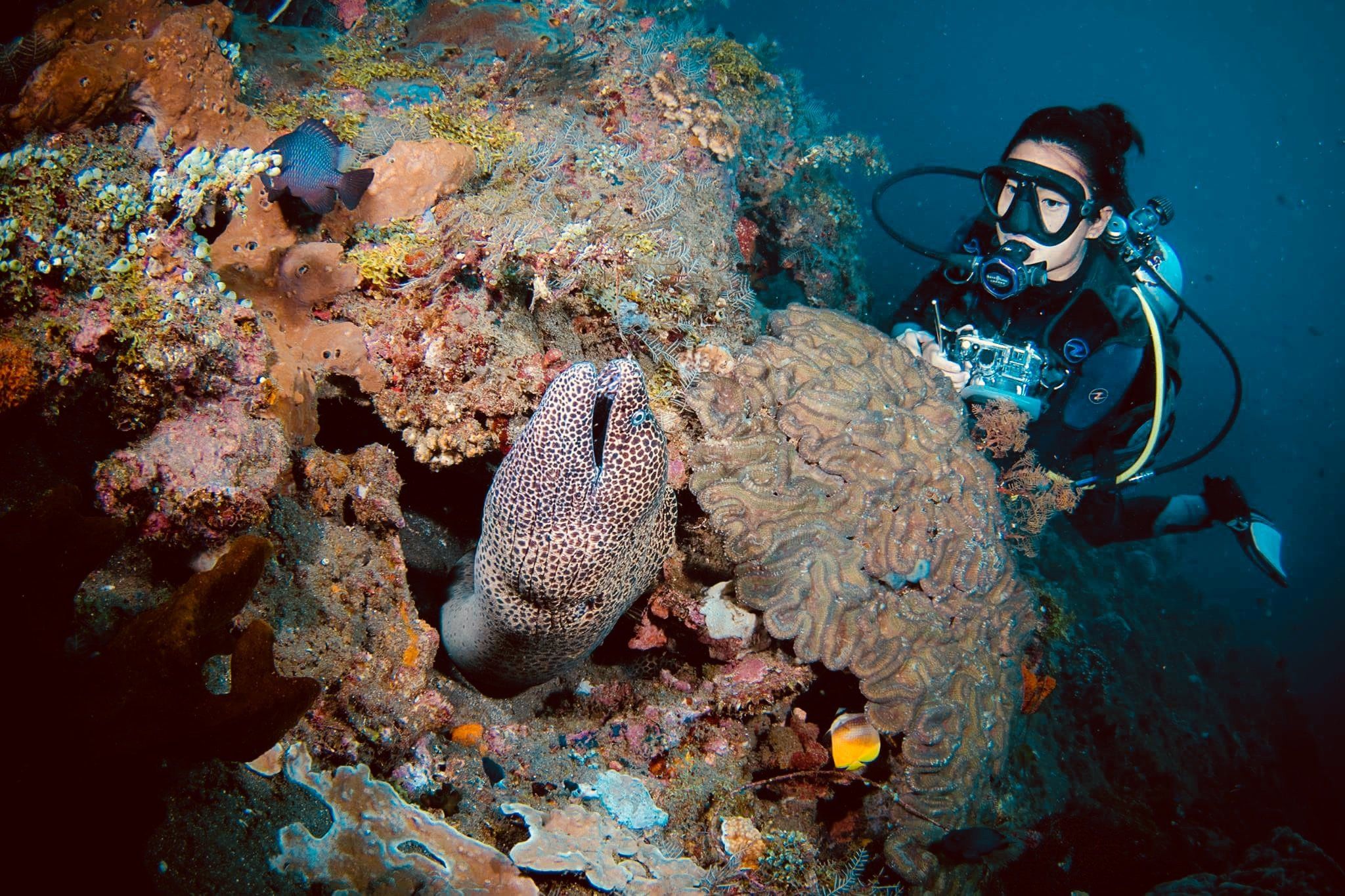 (No Matter Your Cert) Here Are The Best Beaches In Bali For Scuba Diving