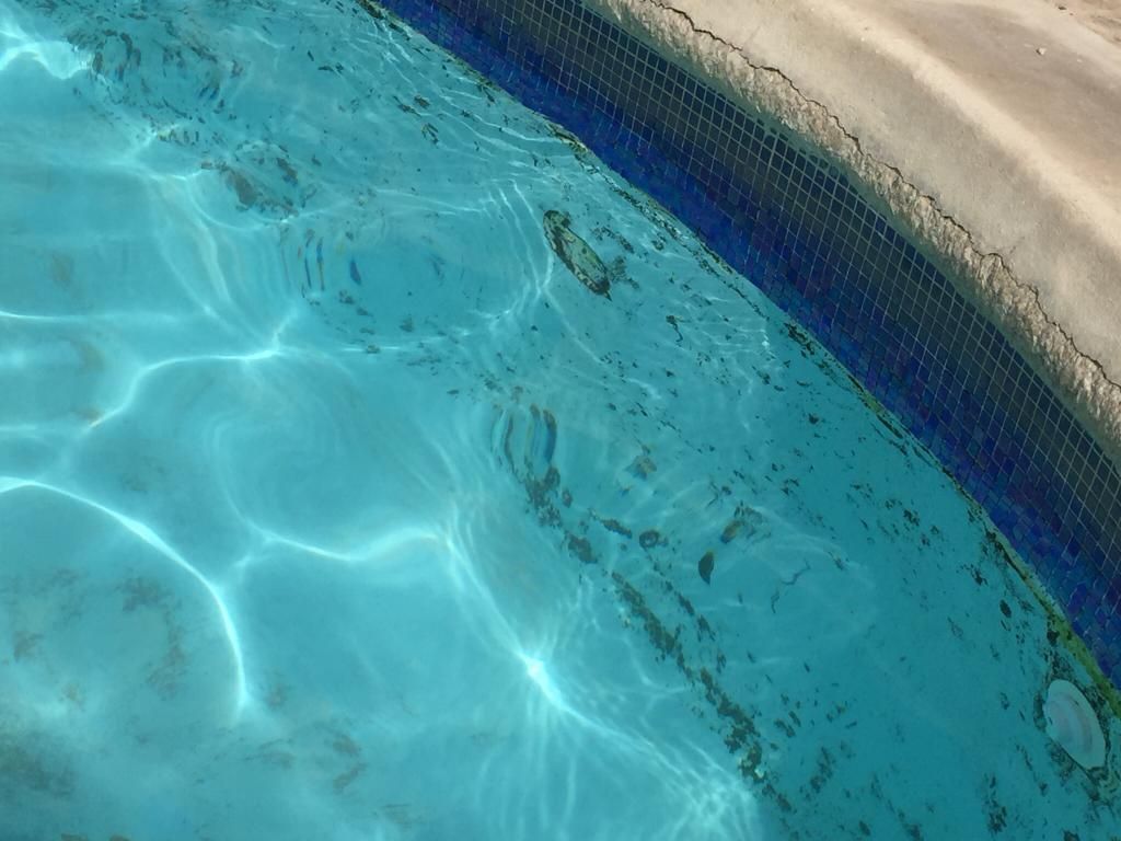 10 Photos That'll Make You Think Twice About Going To A Resort