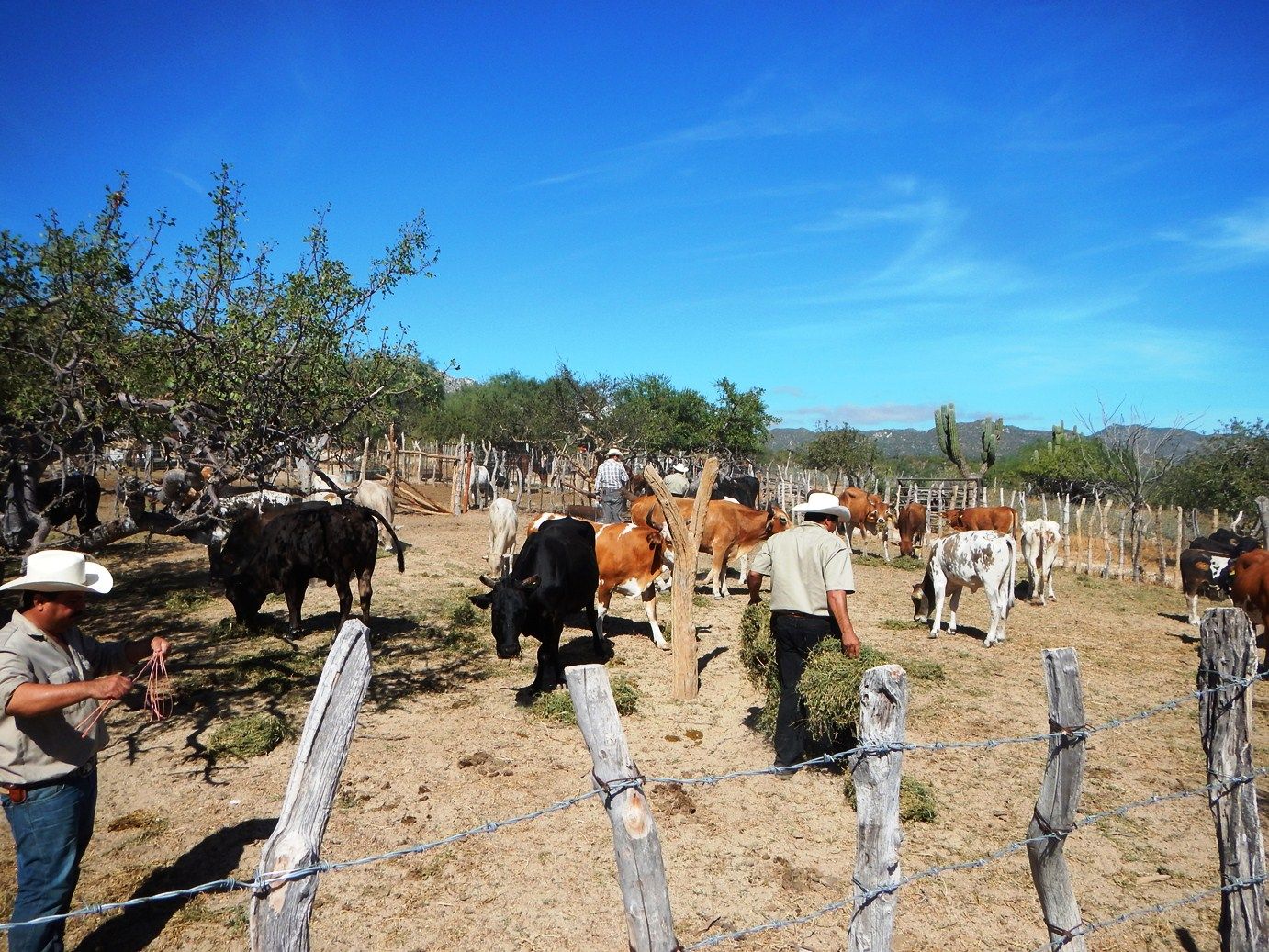 Here's How Far $100 USD Will Get You In Mexico