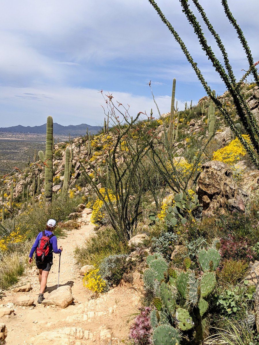 You Don't Have To Leave The U.S For Some Of The Best Places To Visit In ...