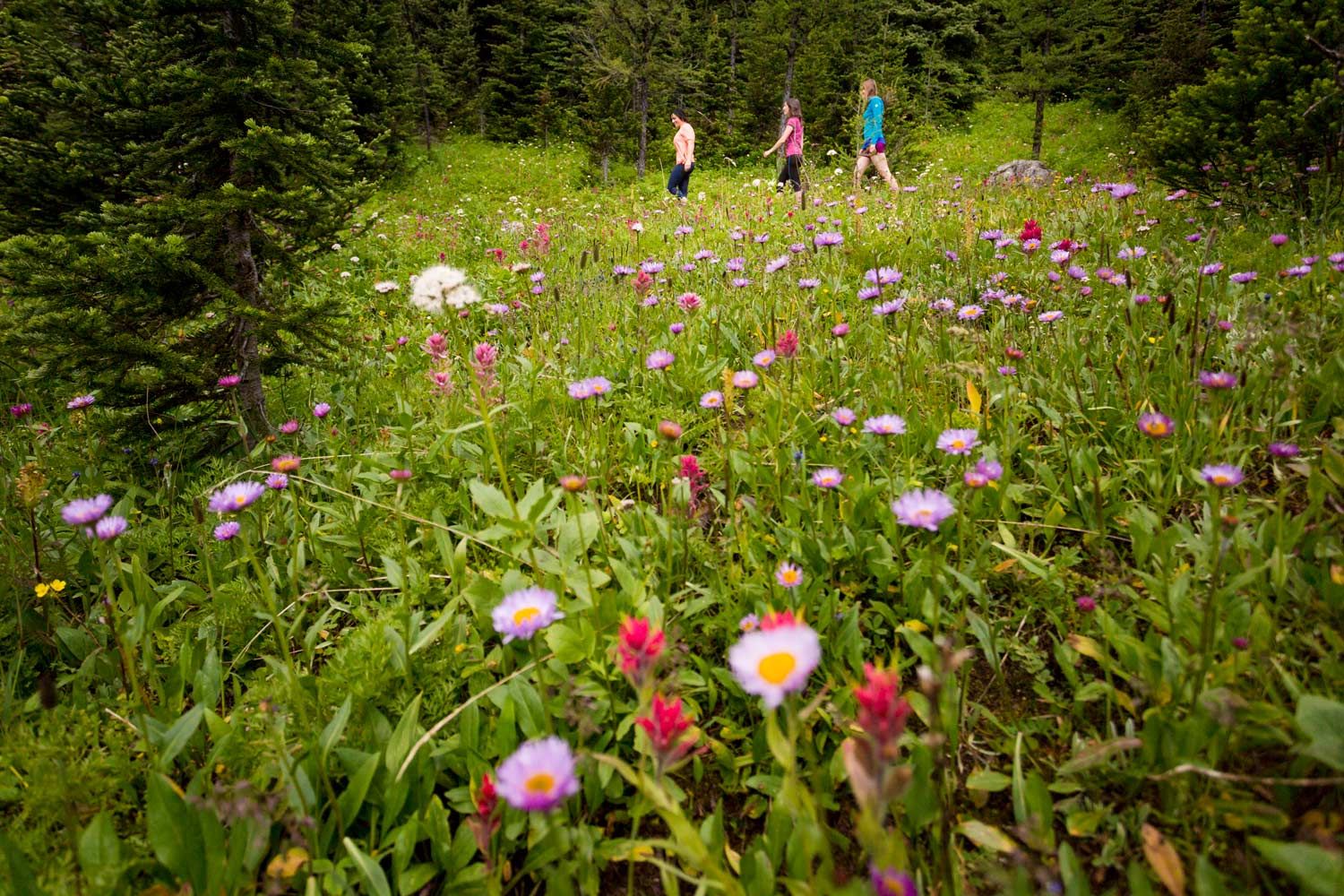 This Is How Long You Need To Hike The Easiest Trails In Banff National Park