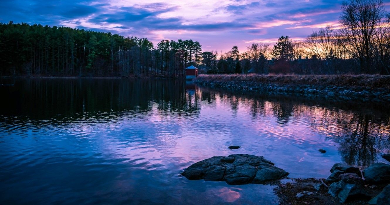 Where Shute Fell: A History Of Spot Pond's Big Mystery