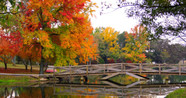 This Is The Best Time To See Beautiful Fall Colors In Arkansas