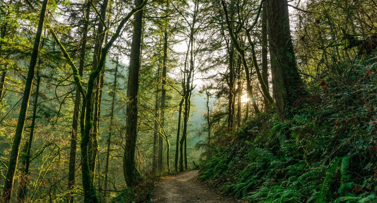 Forest Park Is One Of The Largest Urban Woodlands In The U.S.