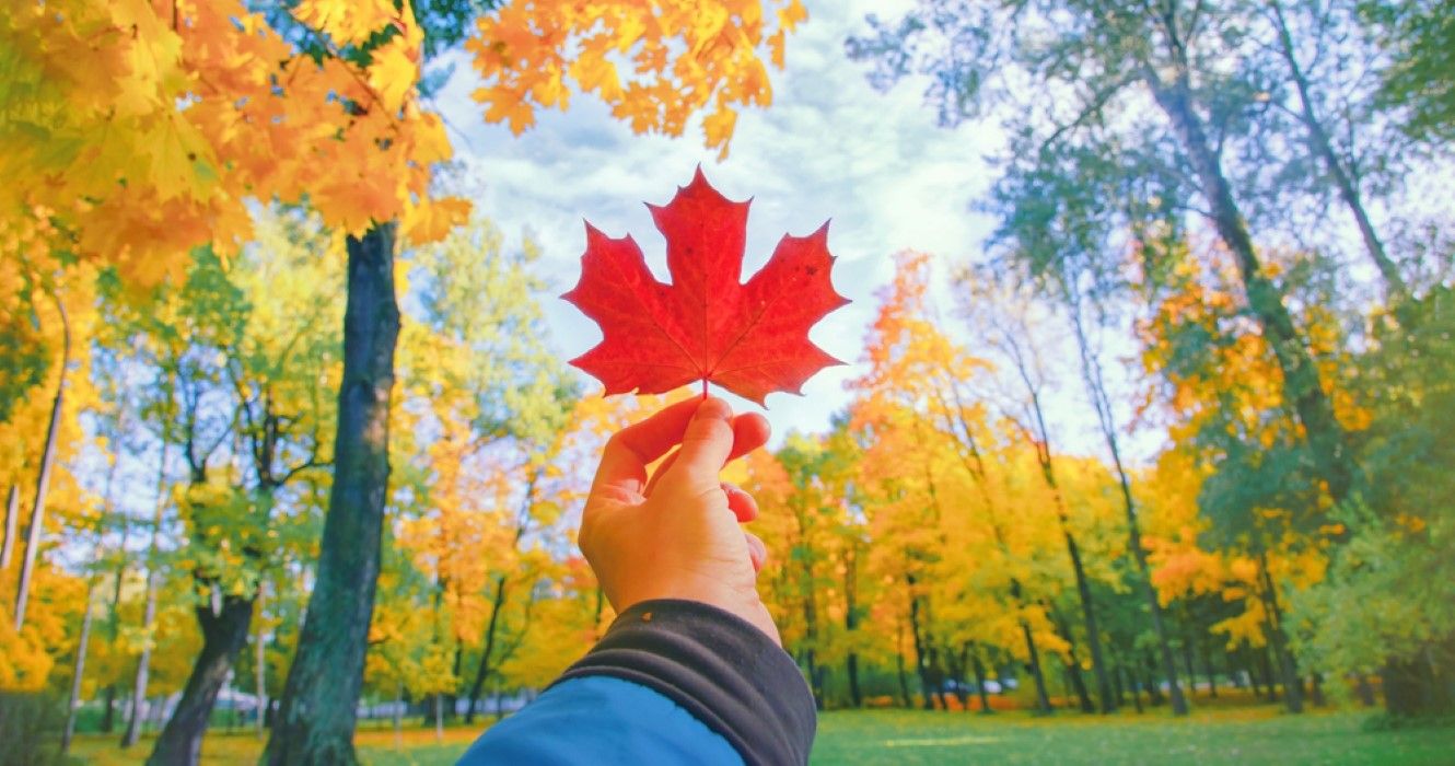 Geography Lesson: What To Know About Canada's 10 Unique Provinces