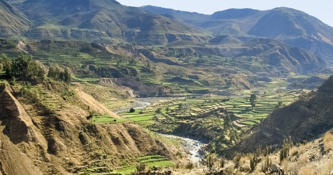 Peru's Deep Colca Canyon Is Known As The Kingdom Of Condors (& Is ...