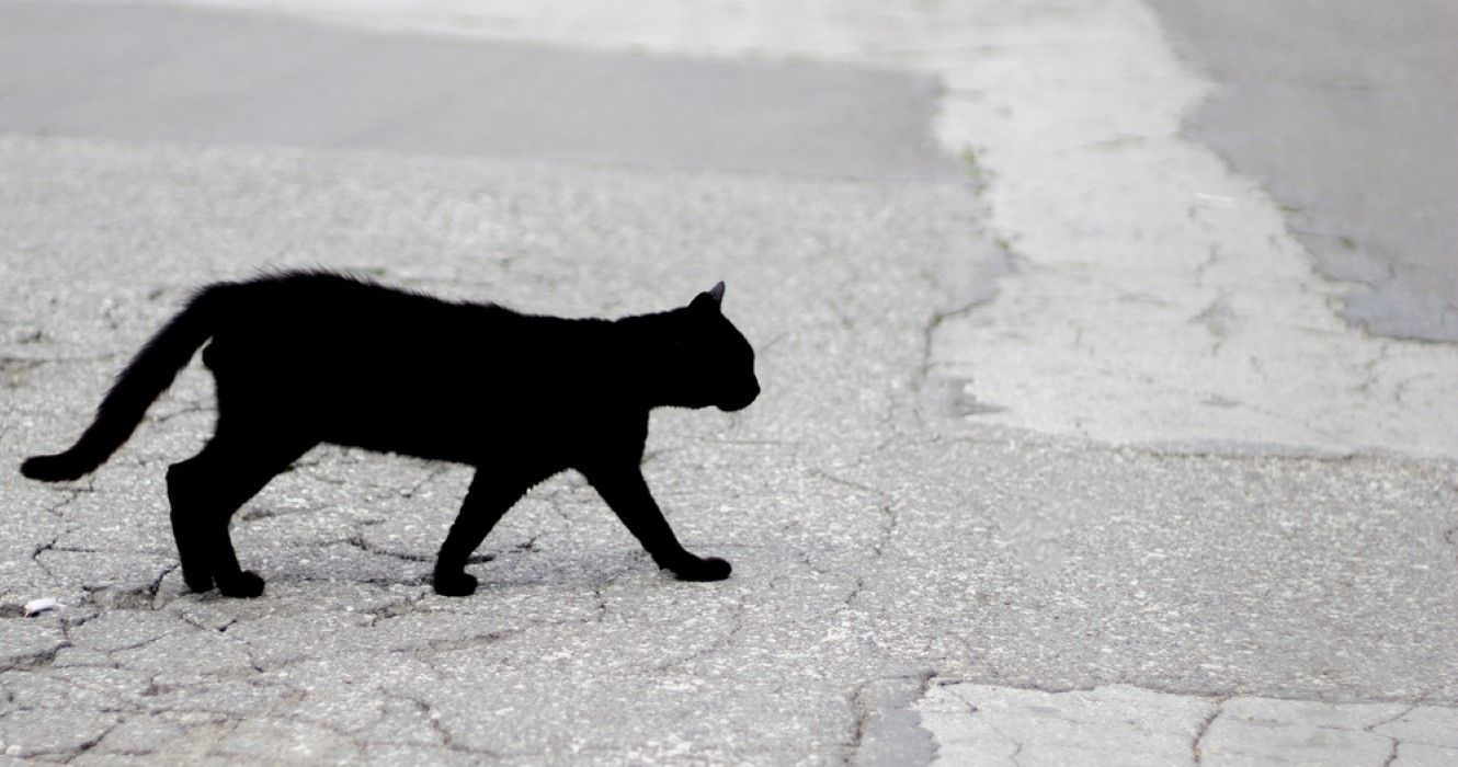 During Ancient Roman Times, These Superstitions Were Considered Bad Luck