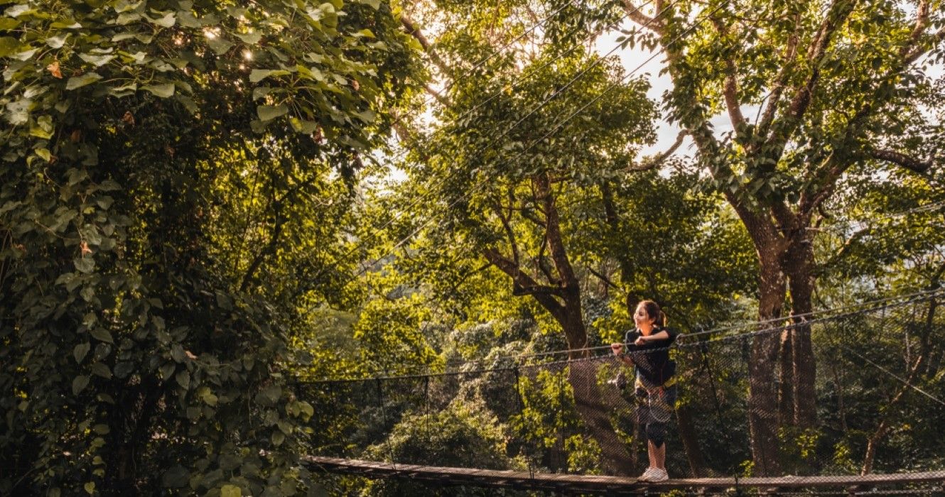 New Orleans Zipline Experience: Immerse Yourself In Louisiana's Wild ...