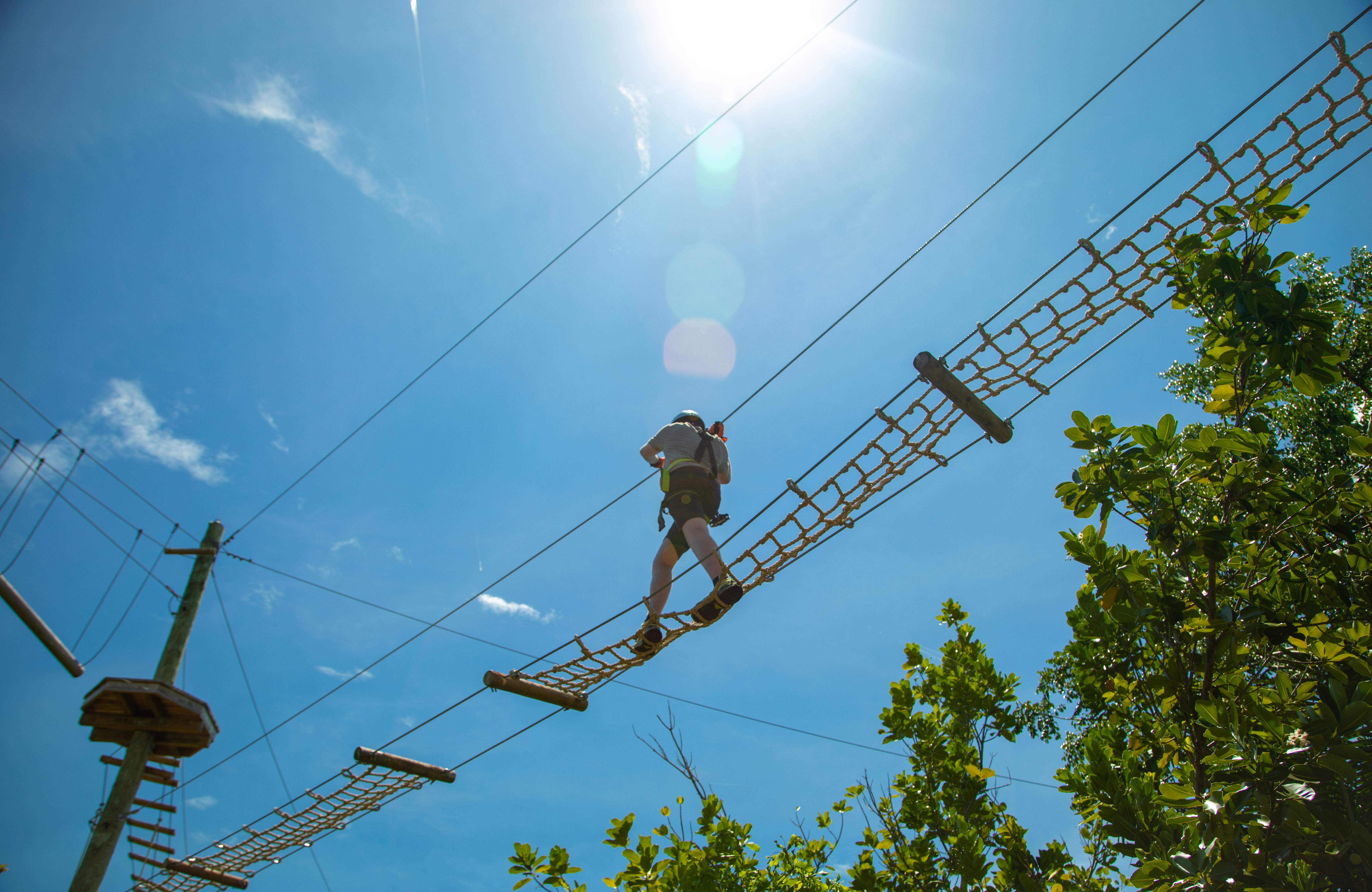 First-Of-Its-Kind Ziplining Adventure Park Might Find Itself Among ...