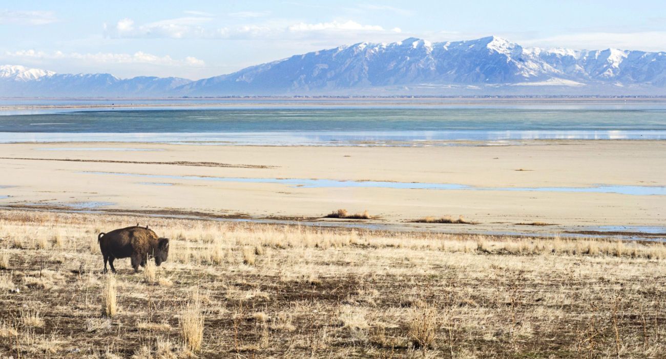 10 Top-Rated Beach Hikes In Utah