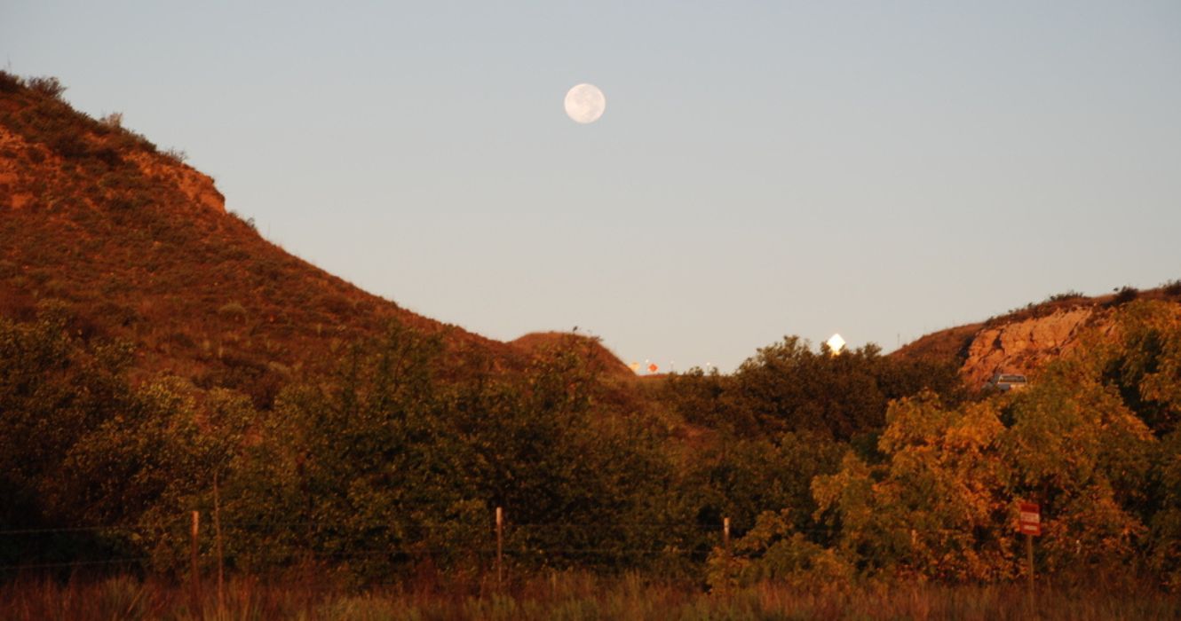 10 Scenic National Wildlife Refuges Parks In Texas