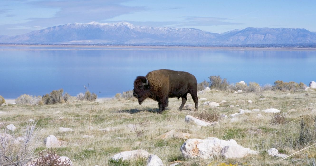 10 Utah Parks That Offer Scenic Views With Minimal Hiking