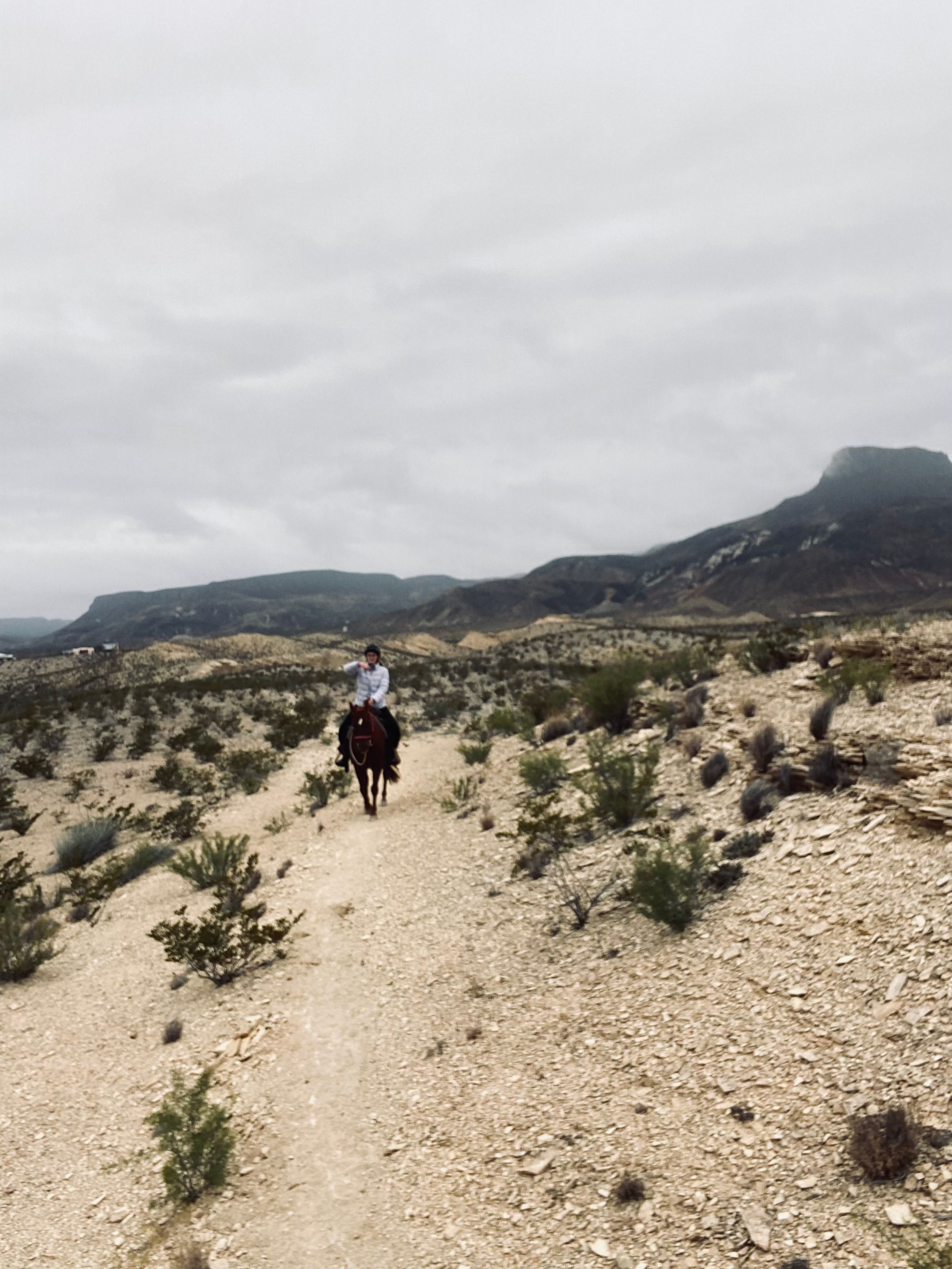 10 Reasons To Visit Lajitas, Texas (Including To See Its Goat Mayor)