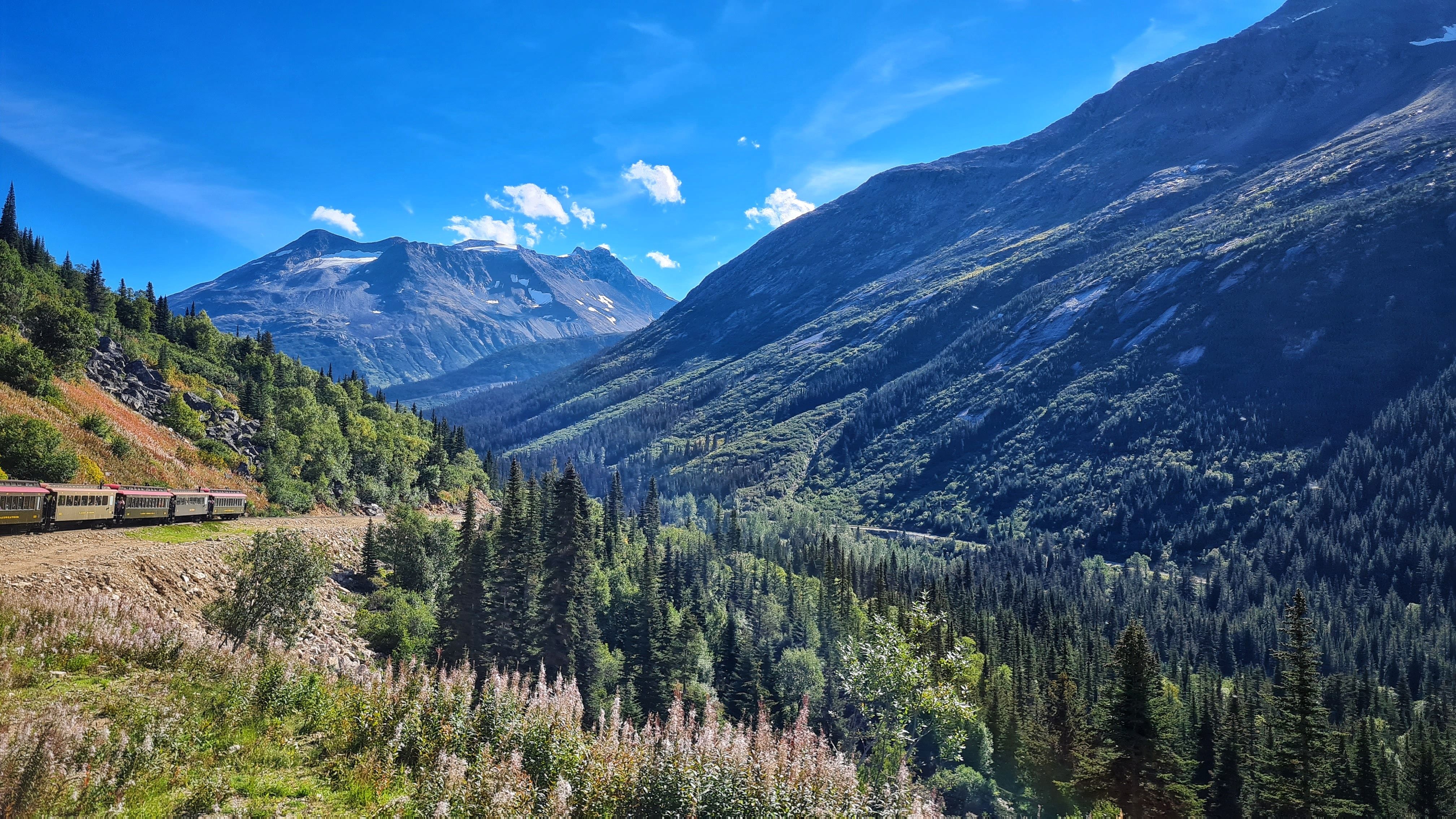 See Hundreds Of Artifacts Left Behind From The Klondike Gush Rush On ...