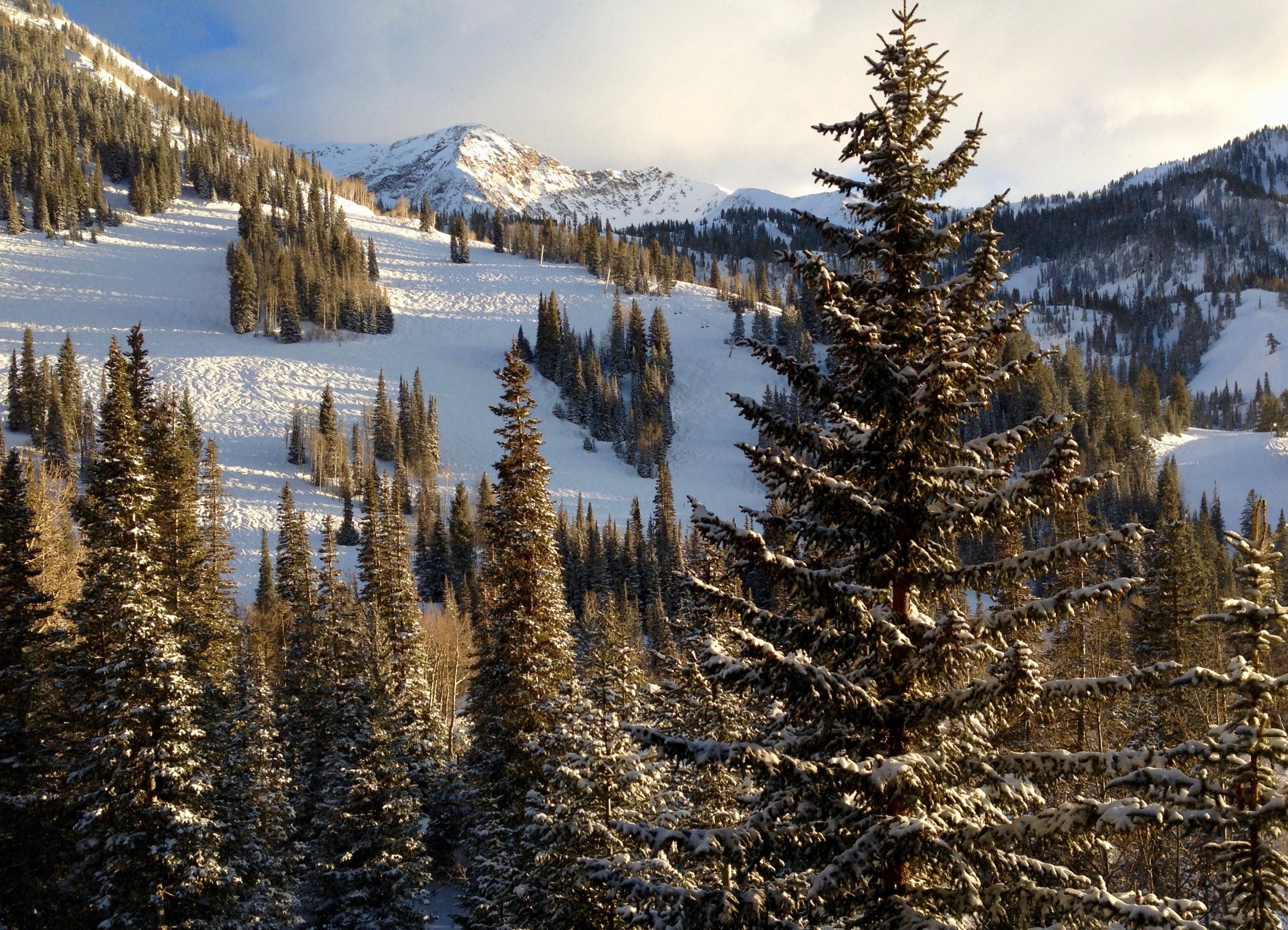 The 10 Cheapest Ski Resorts In The US For Your Winter Adventures