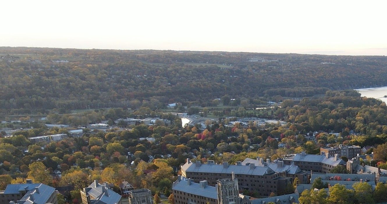 How To Hike Six Mile Creek & See Its Reclaimed-By-Nature Ruins