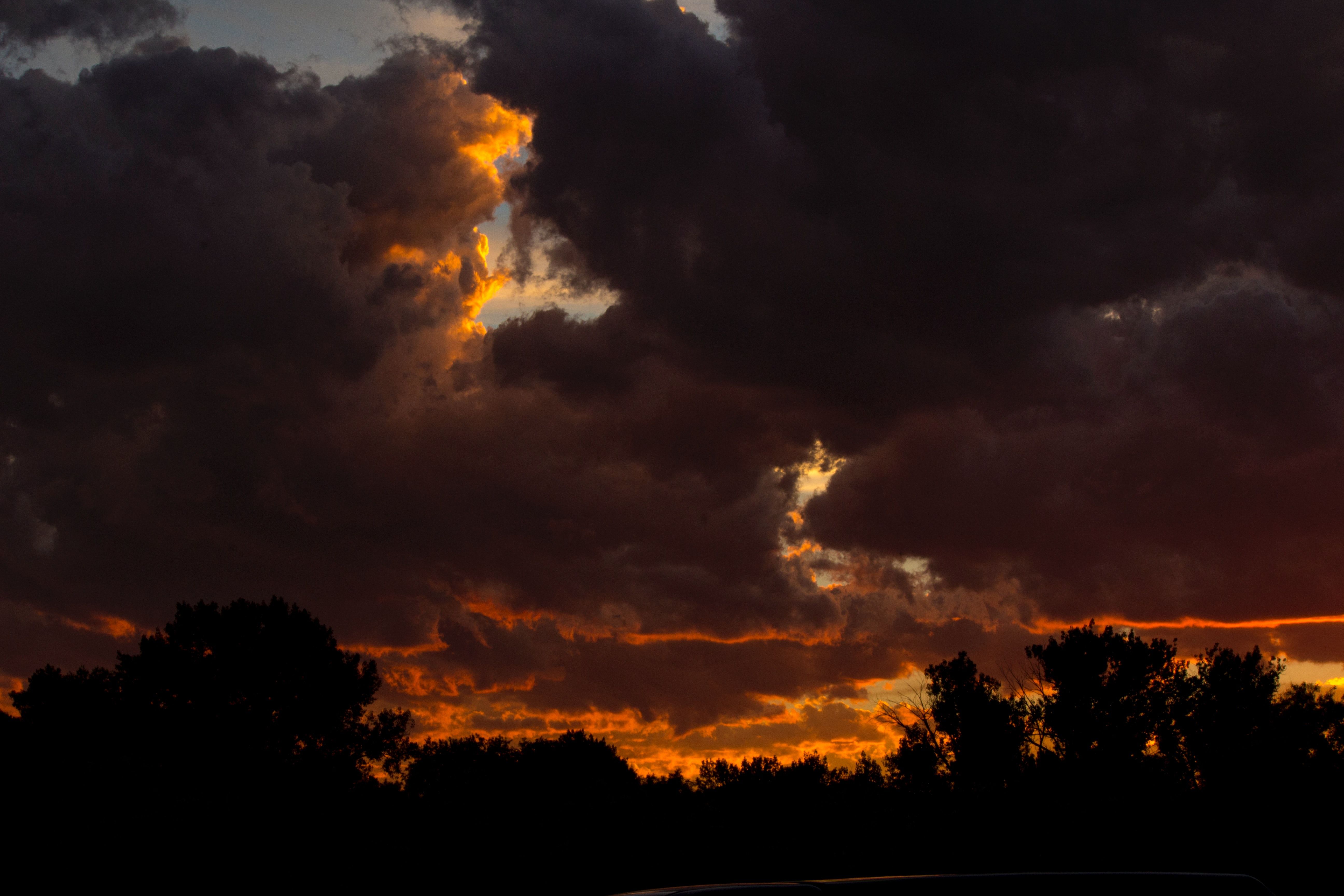 14 Things To Do In Billings: Complete Guide To The City On The Yellowstone