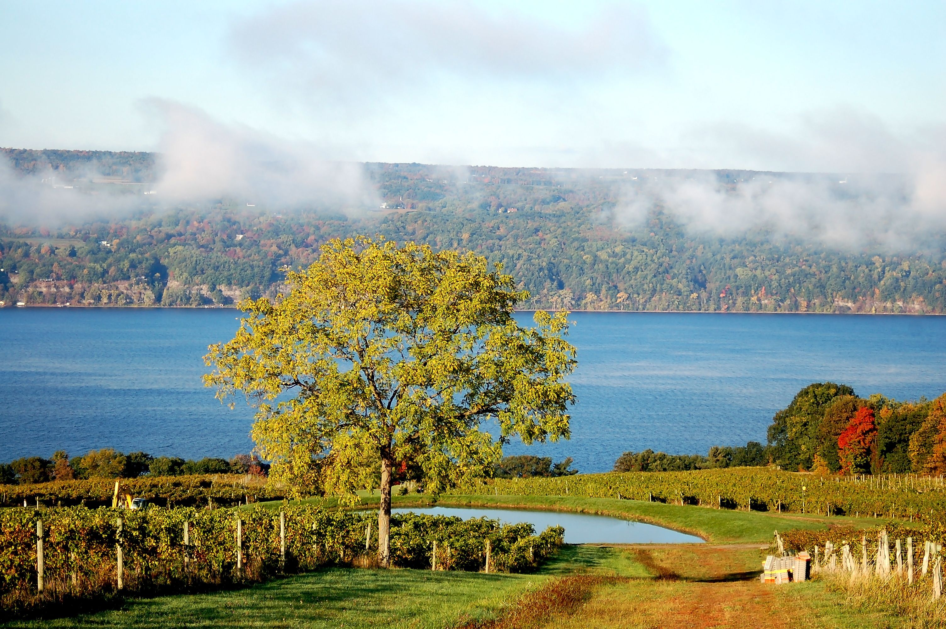15 Things To Do In Finger Lakes: Complete Guide To New York's Scenic Region