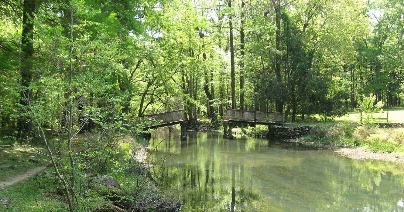 Everything You Need To Know About Swimming At Florida Caverns State Park