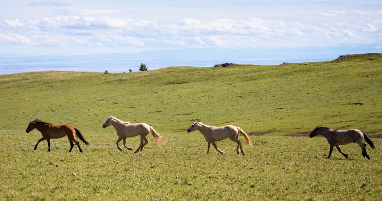 10 Most Beautiful Towns In Wyoming You Should Visit