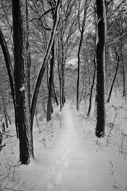 This Is What Makes Winter In Holland, Michigan So Magical