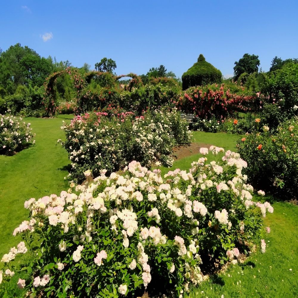 Spend A Day (Or Two) In Hartford: The Ultimate Travel Guide And Things ...