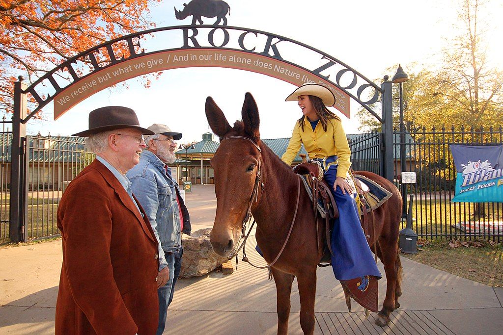 Exploring The Capital City: The Ultimate Guide To Little Rock & Things ...