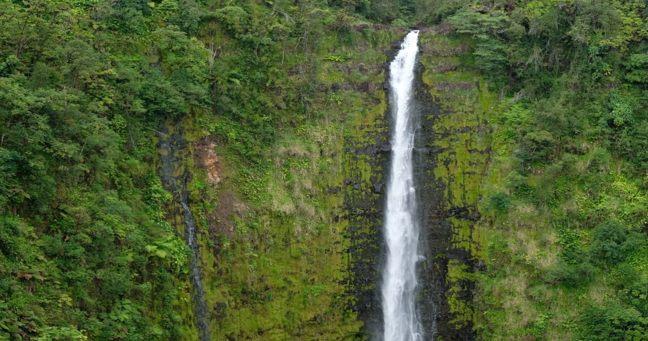 A Misty Wonderland: Hiking Through The Lush Rainforest Of Akaka Falls ...