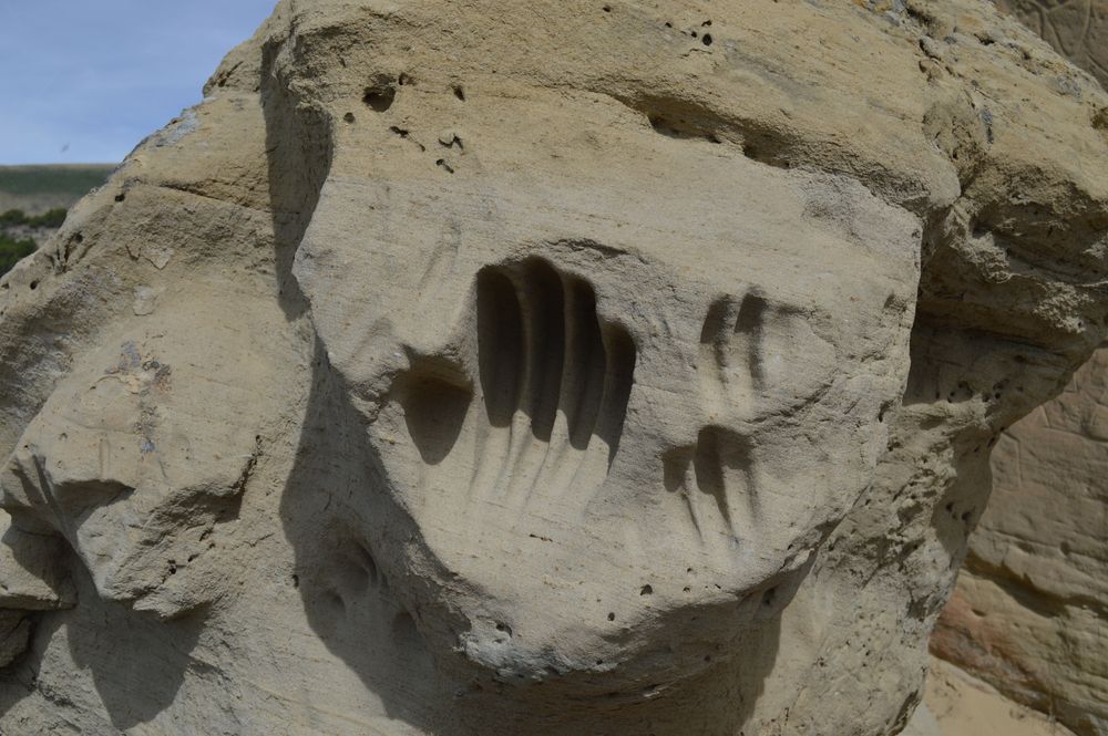 Outdoor Enthusiasts: The Ultimate Guide To Rock Springs & Things To Do