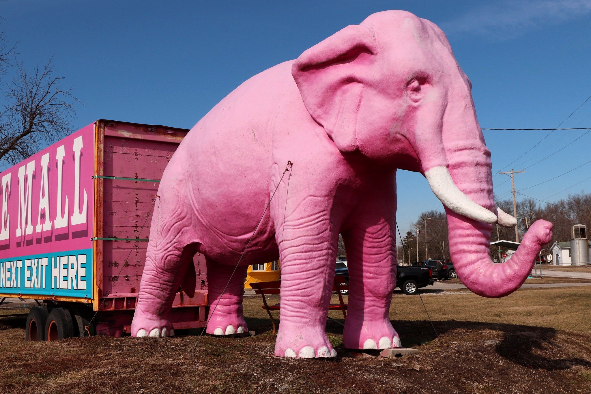 Retro Shopping & Historic Finds Abound At Illinois' Pink Elephant ...