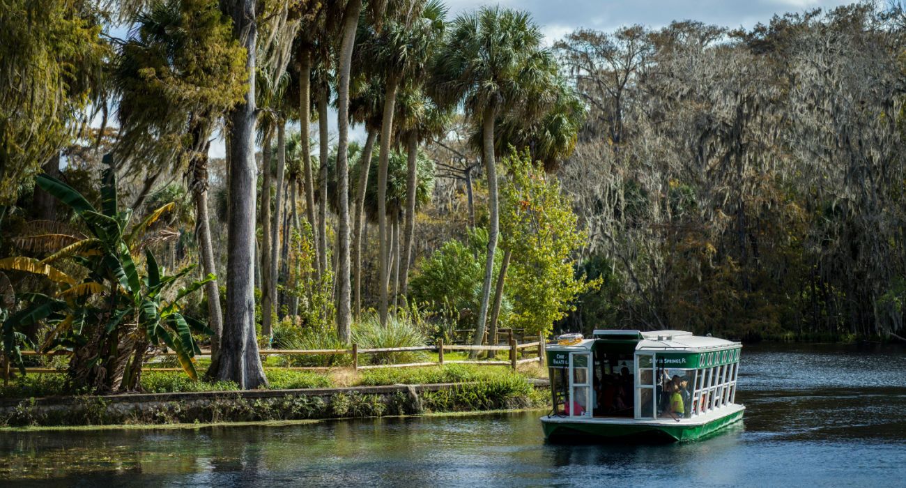 This Florida State Park Is Home To An Invasive Colony Of Macaque Monkeys