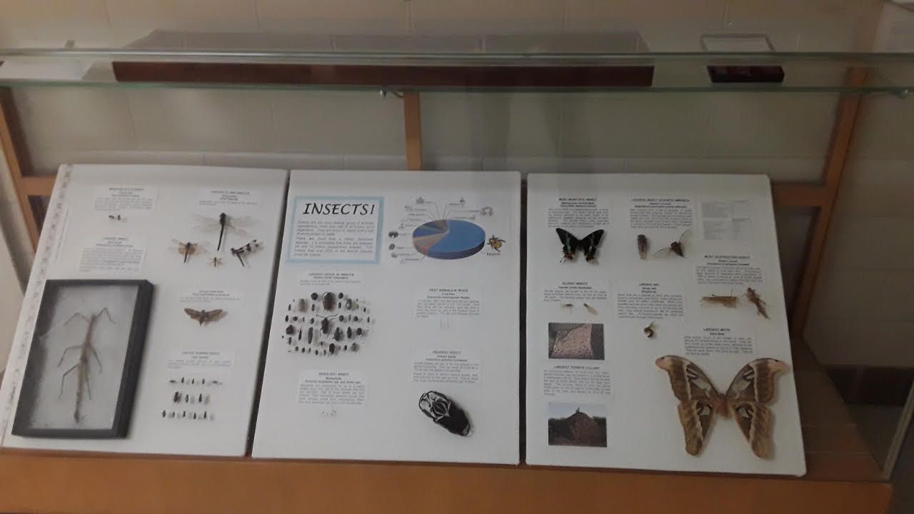 北米の風変わりな美術館 10 選 - 世界の顔