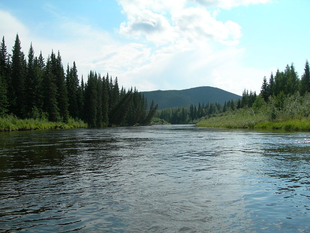 10 Things To Do In Fairbanks: Complete Guide To The 'Golden Heart Of ...