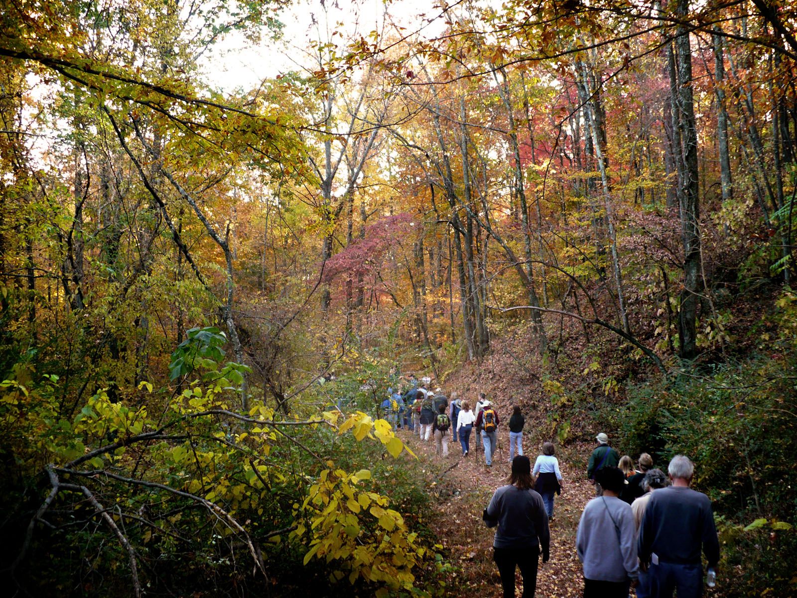 Journey Through The Magic City: The Ultimate Guide To Birmingham ...