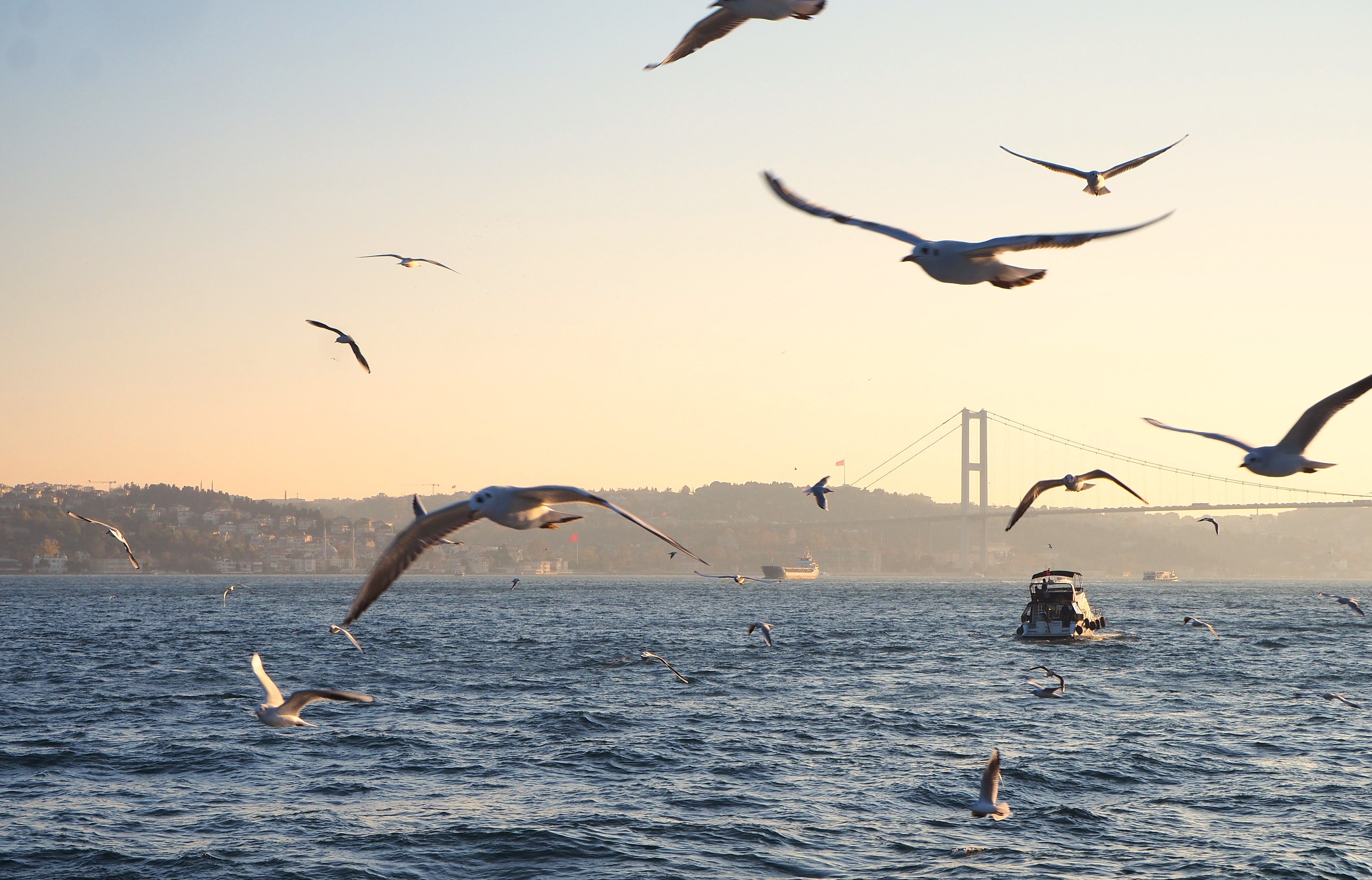 10 Must-See Locations In Istanbul For Spring