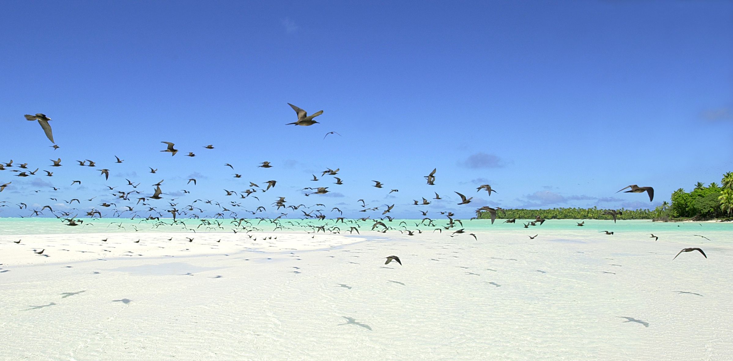 10 Most Beautiful Islands In French Polynesia To Experience