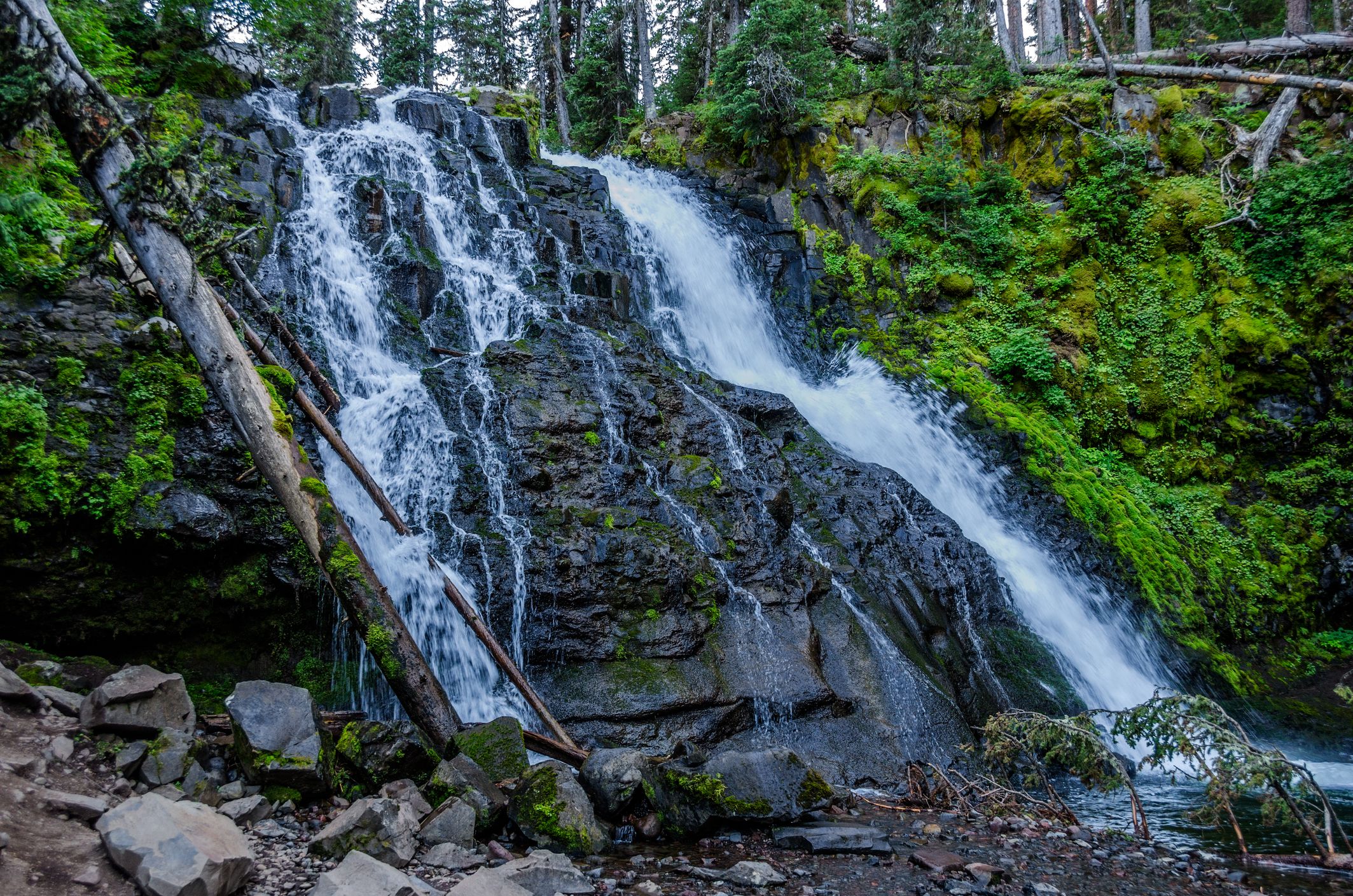 10 Best Places To Witness The Beauty Of Spring In Montana